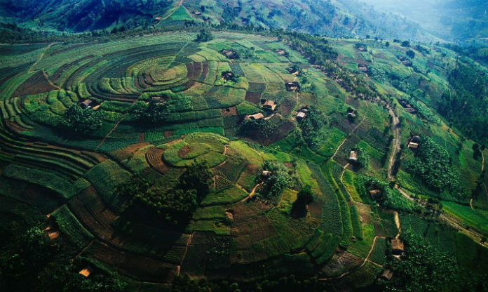 4 Reasons Why You Should Visit Rwanda | Traveller Notes